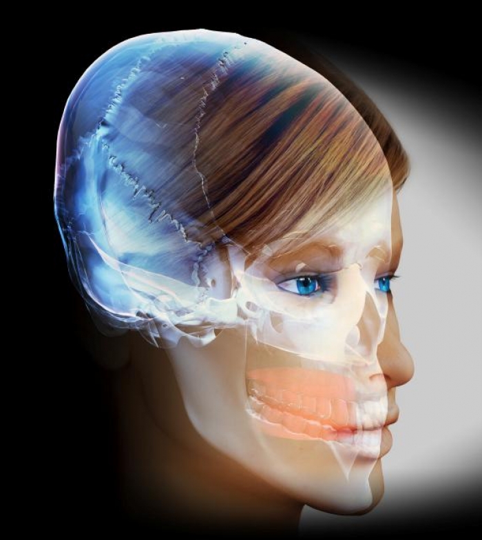 MAXILLO-FACCIALE - Giuseppe Ventura, da oltre 30 anni dentista a ...